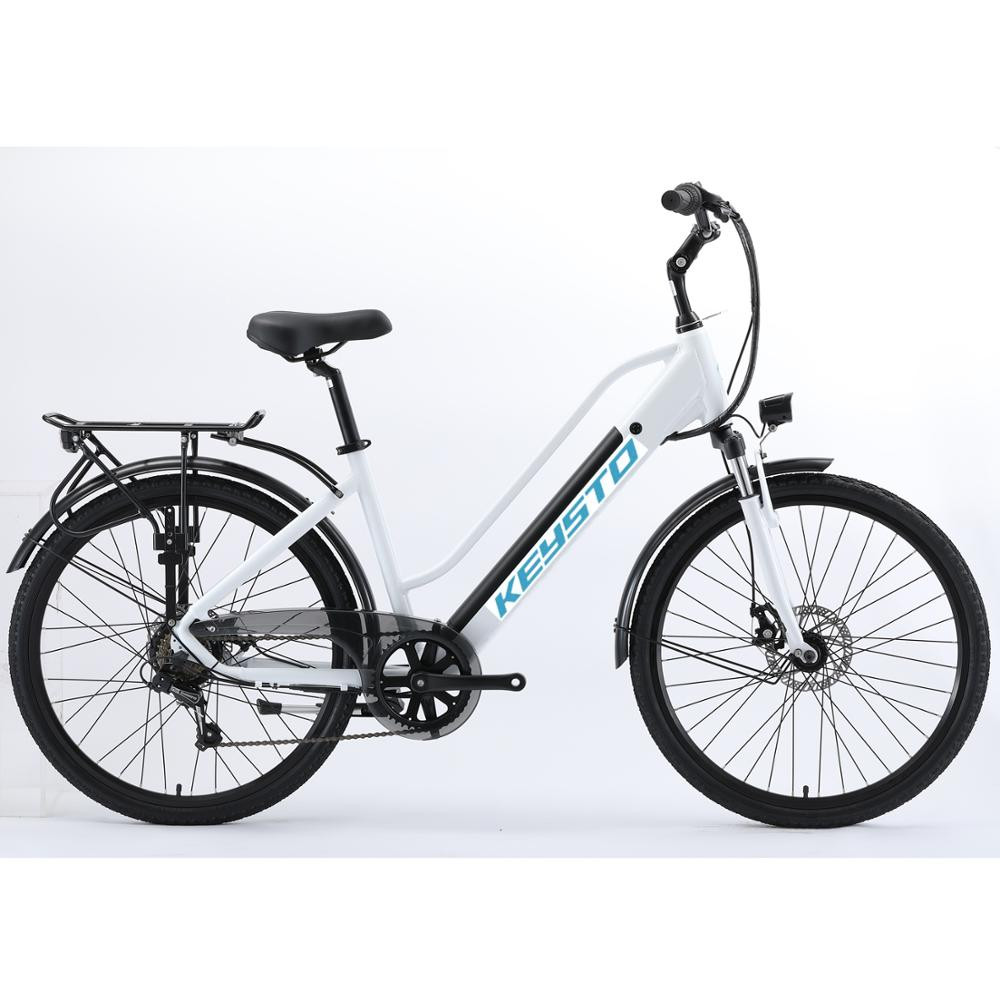 Buy Fashion Tandem Electric Bike For Two People Riding Together from ...