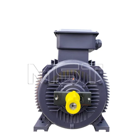 Buy Hot Industrial Three-phase Asynchronous Vfd Motor 15kw Cast Iron ...