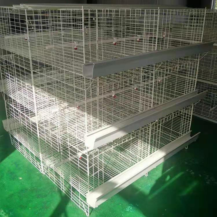 Buy Mu Tong New Breeding Equipment Pigeon Cage, Quail Cage Small ...