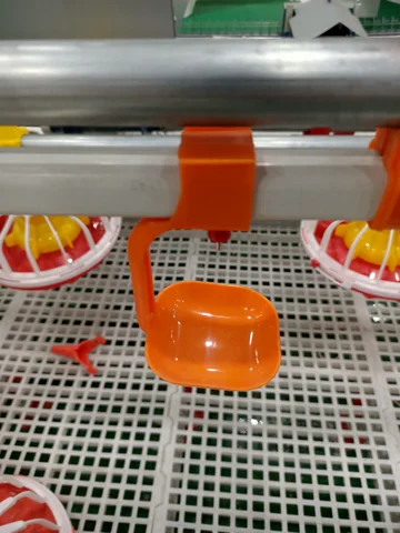 Buy New Auger Feed System For Poultry Farm Equipment Broiler Chicken ...