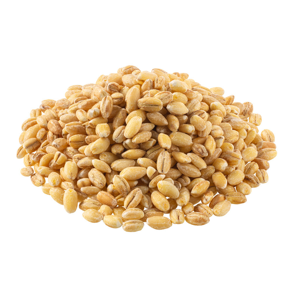 Buy Russian Barley Grain, Suitable For Farming Fodder from AMURZERNO ...