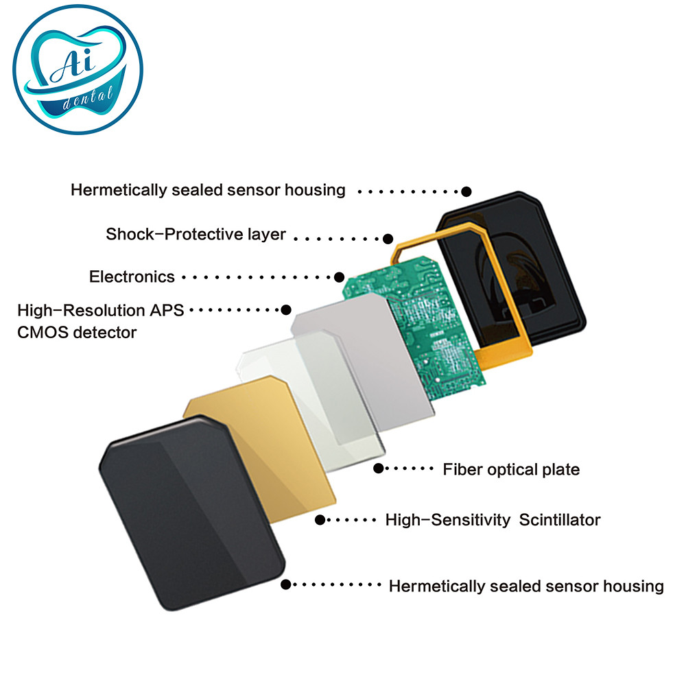 Buy Wireless Intraoral Rvg Dental X Ray Cmos Image Digital Sensor Hdr ...