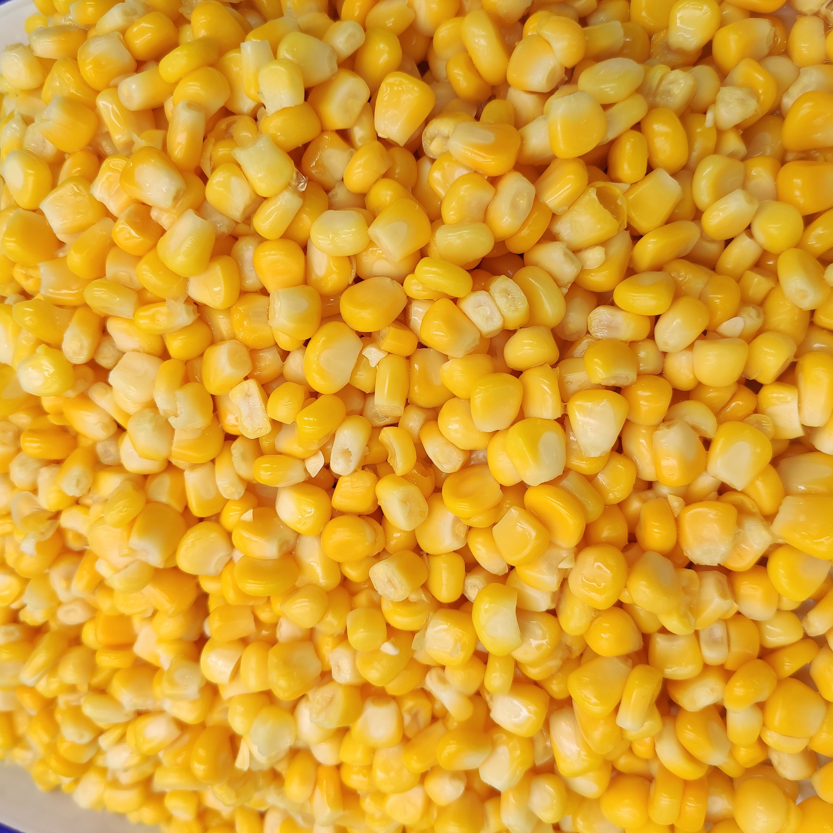 Buy Canned Sweet Kernel Corn from XIAMEN WECAN FOOD CO.,LTD., China ...