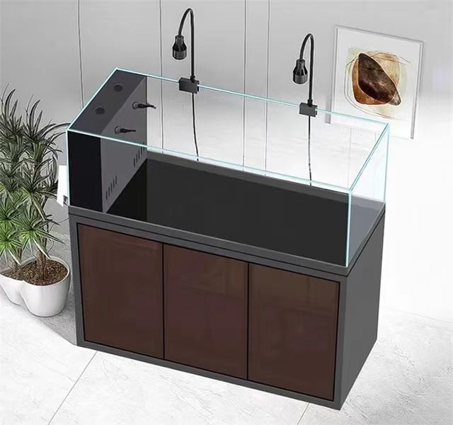 Buy Dingju Dragon Fish Tank Aquarium Living Room Large And Medium-size ...