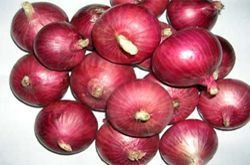 Buy Onion from Rahul Aerofresh, India | Tradewheel.com