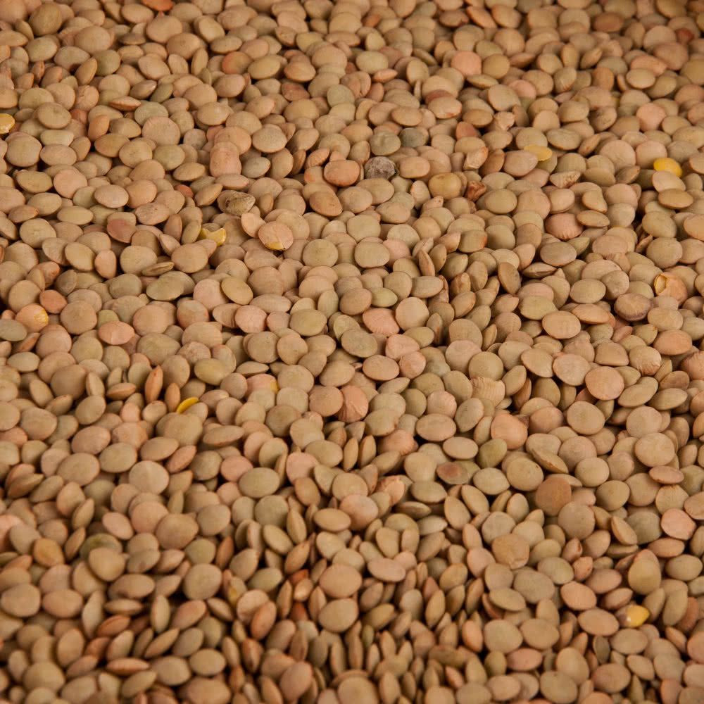 Buy Organic Whole And Split Brown Lentils Bulk Packaging Dried Food ...