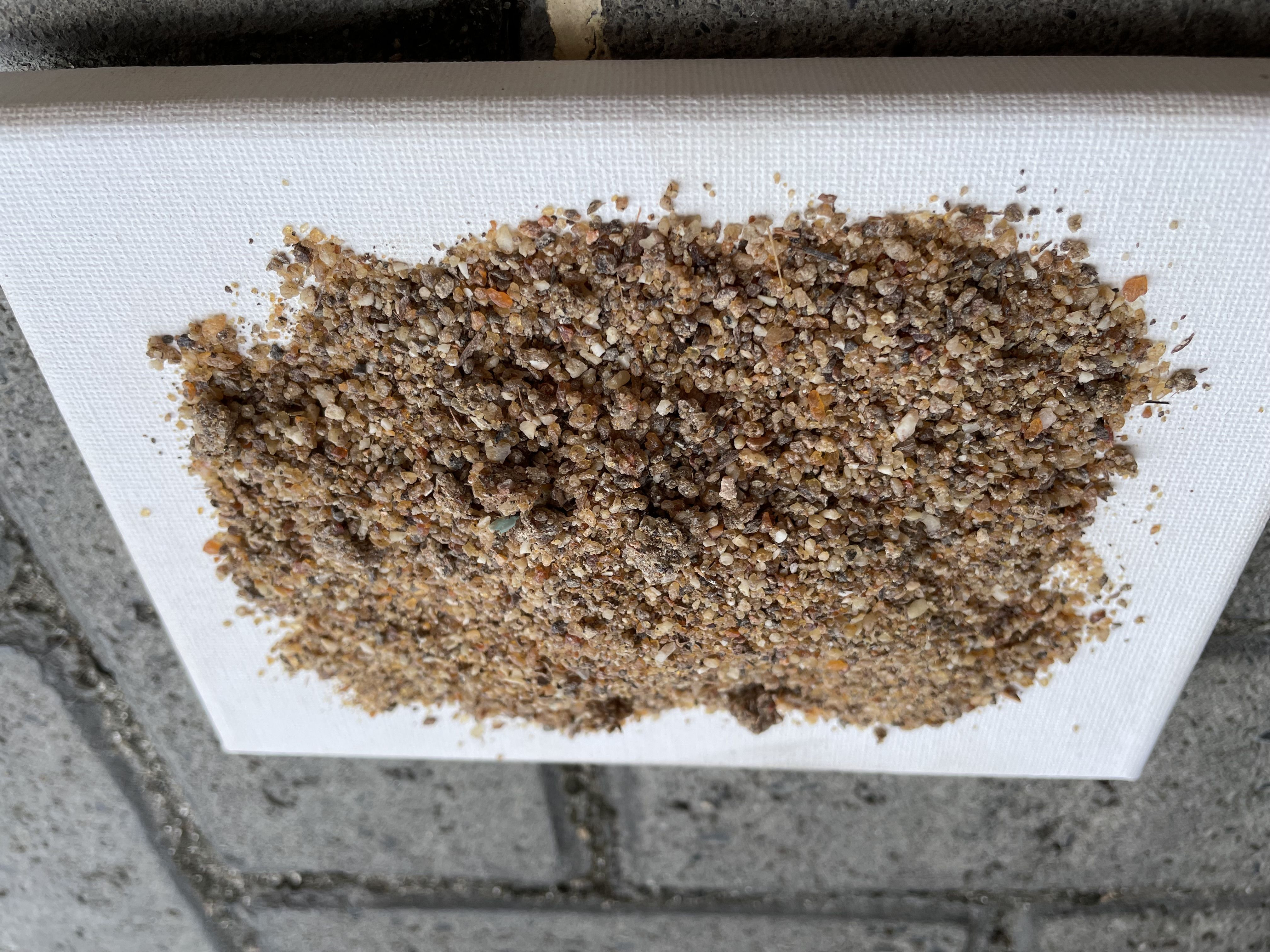 Buy Sumatra Gum Benzoin (grade B-4) from Toba Wira Agrindo, PT ...
