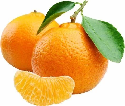 Buy Mandarin Orange from Sharp Ages Trader and Exporter, Pakistan ...