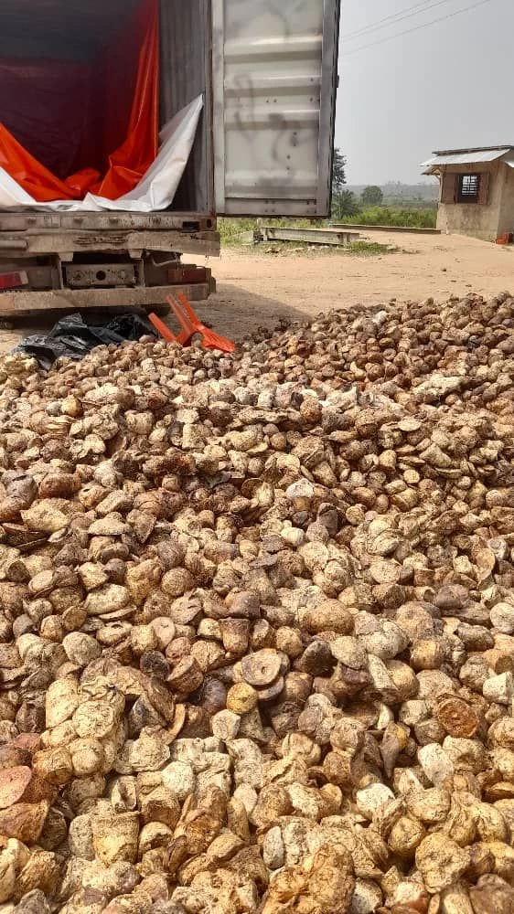 Buy Natural Rubber Lump Cup from Ryan Commodities Agritech, Cote D ...