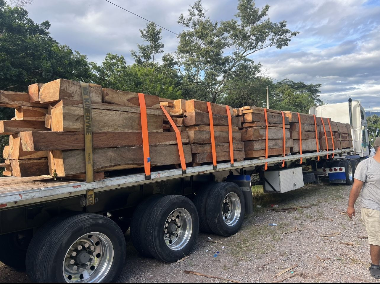 Buy Dalbergia, Cedro, Caoba Y Pino from INDUMAC, Honduras | Tradewheel.com