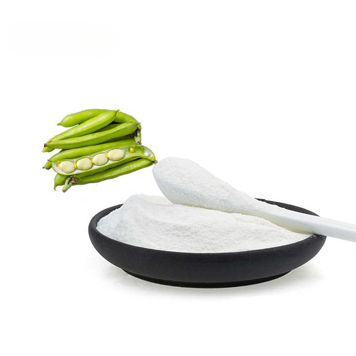 Buy Faba Bean Protein Isolate 80% – High Quality Plant-based Protein ...