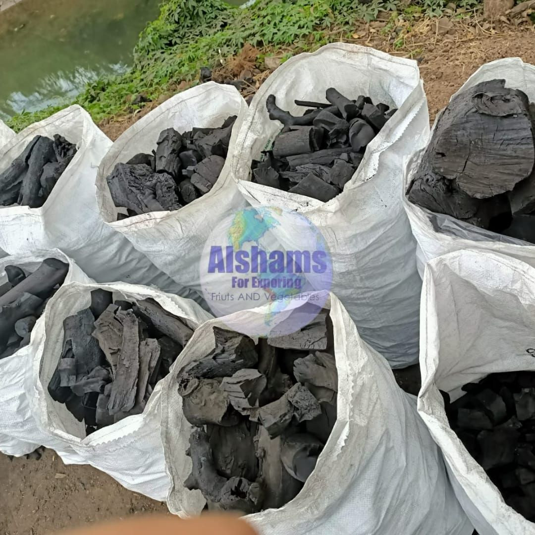 Buy Natural Charcoal from Al Shams Company, Egypt | Tradewheel.com