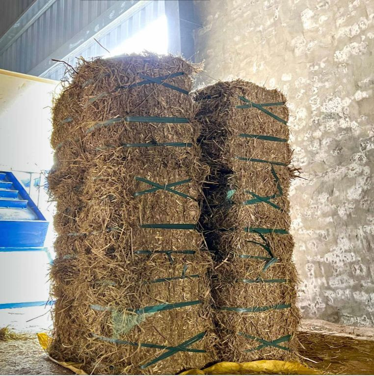 Buy Rice Straw Hay Compressed Bales For Sale from Saremco Agri ...