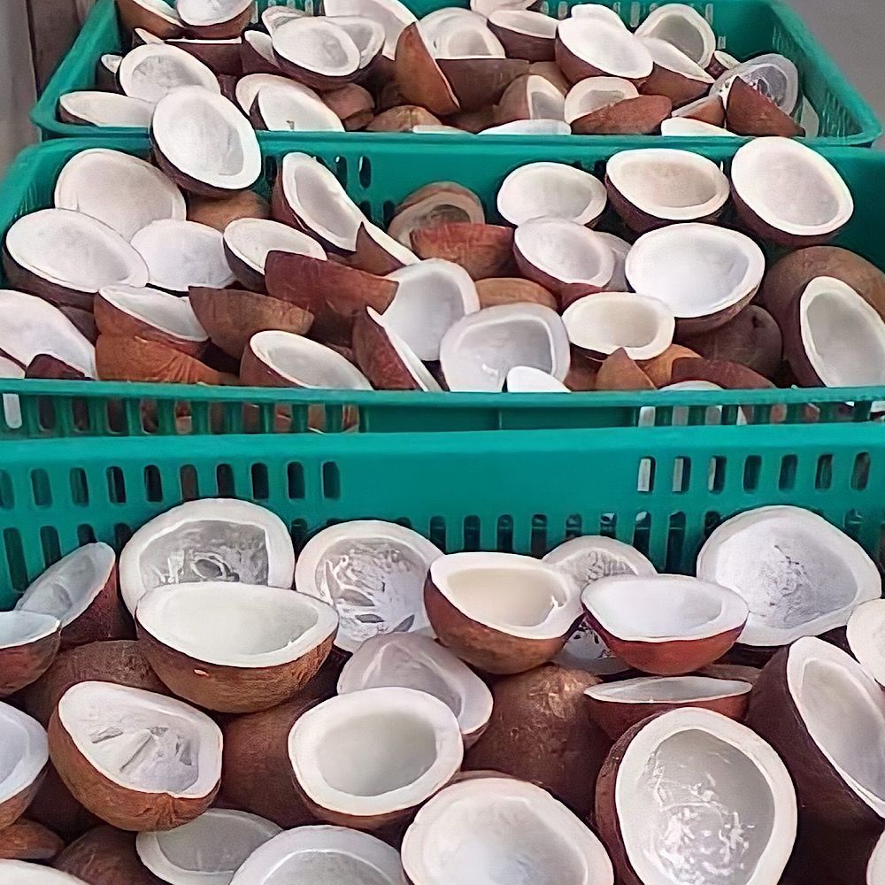 Buy Coconut Copra from PT GLOBAL ACE COCO, Indonesia | Tradewheel.com