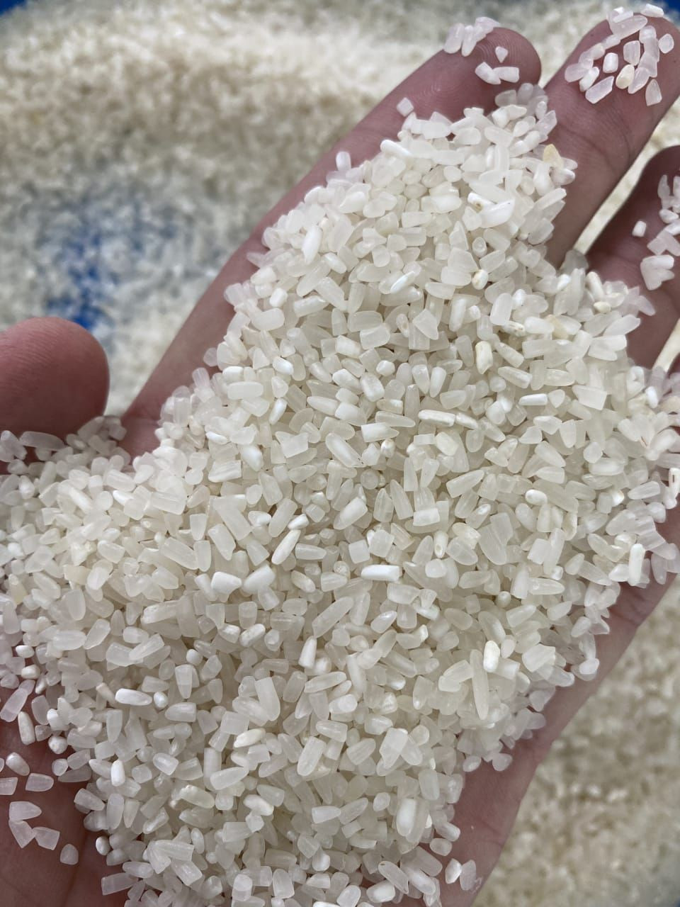 Buy Rice from Jenergistic Alpha Harmonic International Trade Financing ...