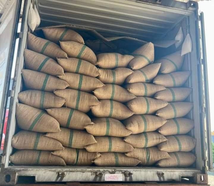 Buy Robusta Coffee Beans Fresh Ground Coffee For Sale from Group 2K ...