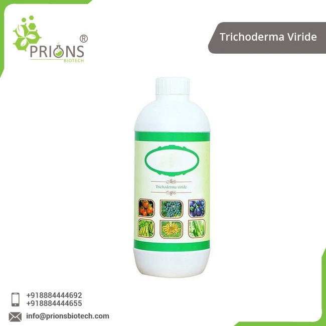 Buy Bulk Organic Agriculture Fertilizer Trichoderma Viride Soil ...