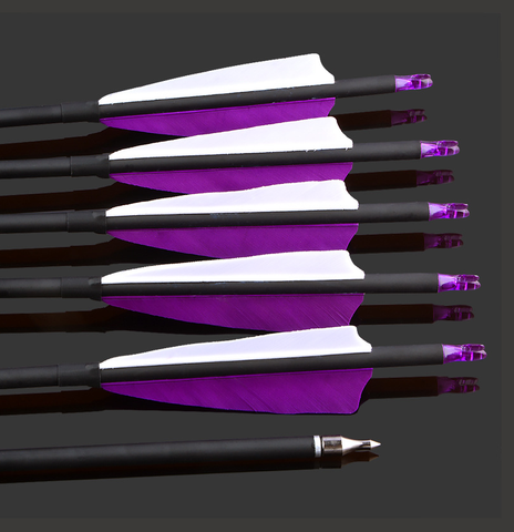 Buy China Customized Carbon Arrow Hunting Compound Bow, Anti-bow Bow ...