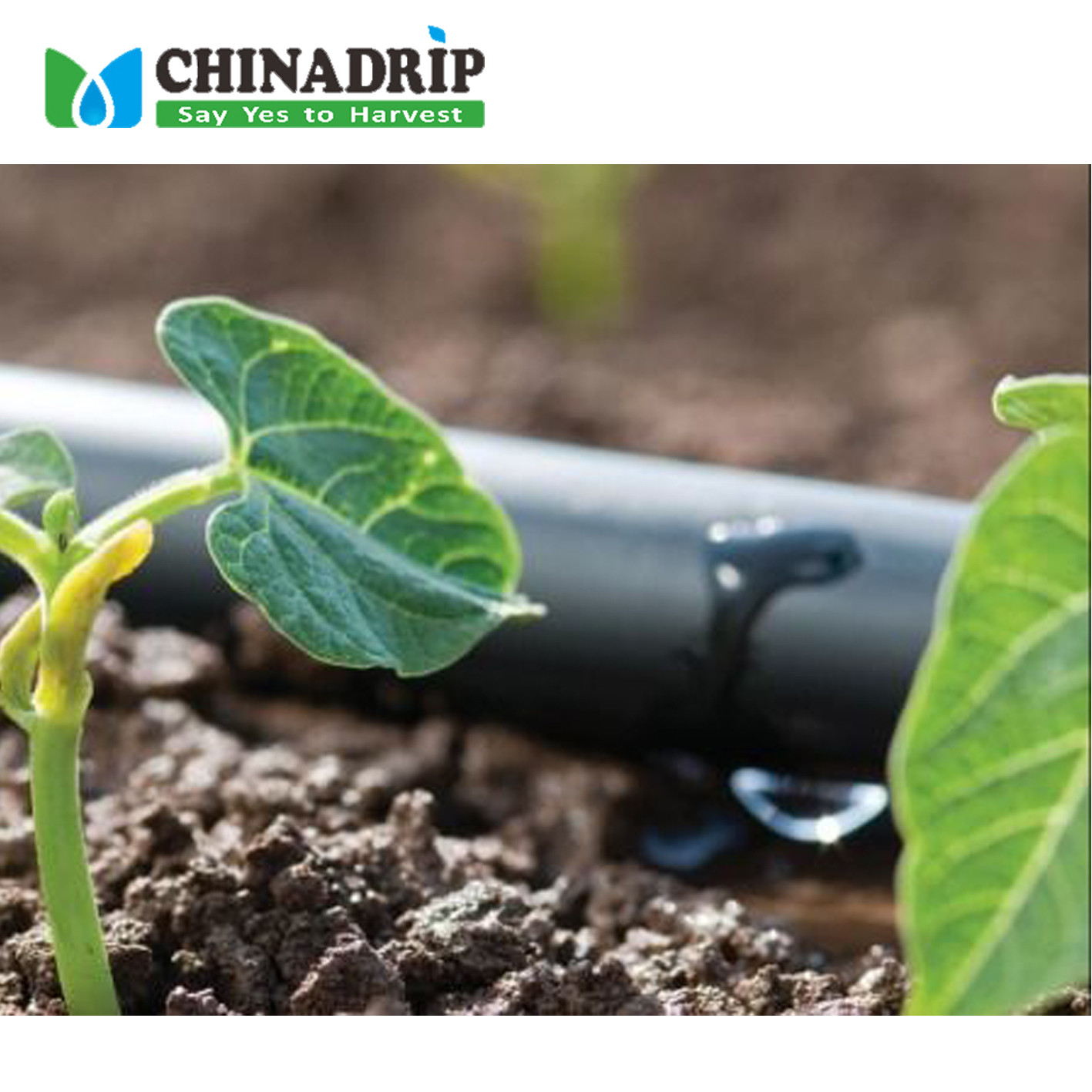 Buy Farm Irrigation System Subsurface Drip Irrigation Kit 1 Hctare Drip ...