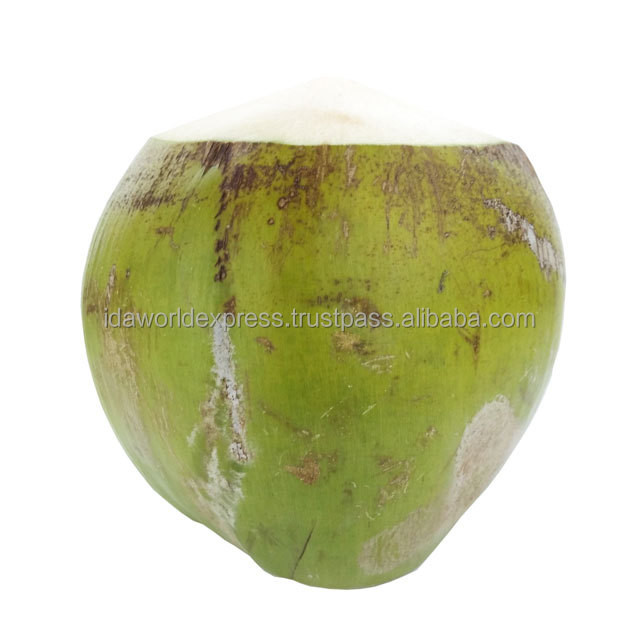 Buy Fresh Young Coconut The Coconuts Fresh Thailand Green With Sweet ...