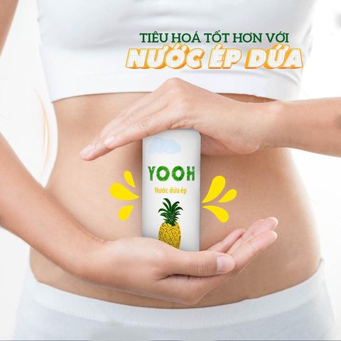 Buy High Quality Tropical Fruit Juice 250 Ml Pineapple Juice Drink from ...