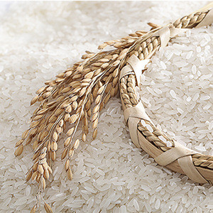 Buy Organic Native Rice Starch 100% Gmo Free from Auhui Shunxin ...