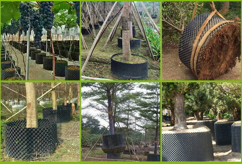 Buy Plant Root Control Propagation Trainer Fast Root Grow Container Air ...