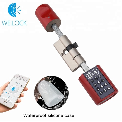 Buy We.lock Electric Lock For Door Password Login Combination Keypad ...