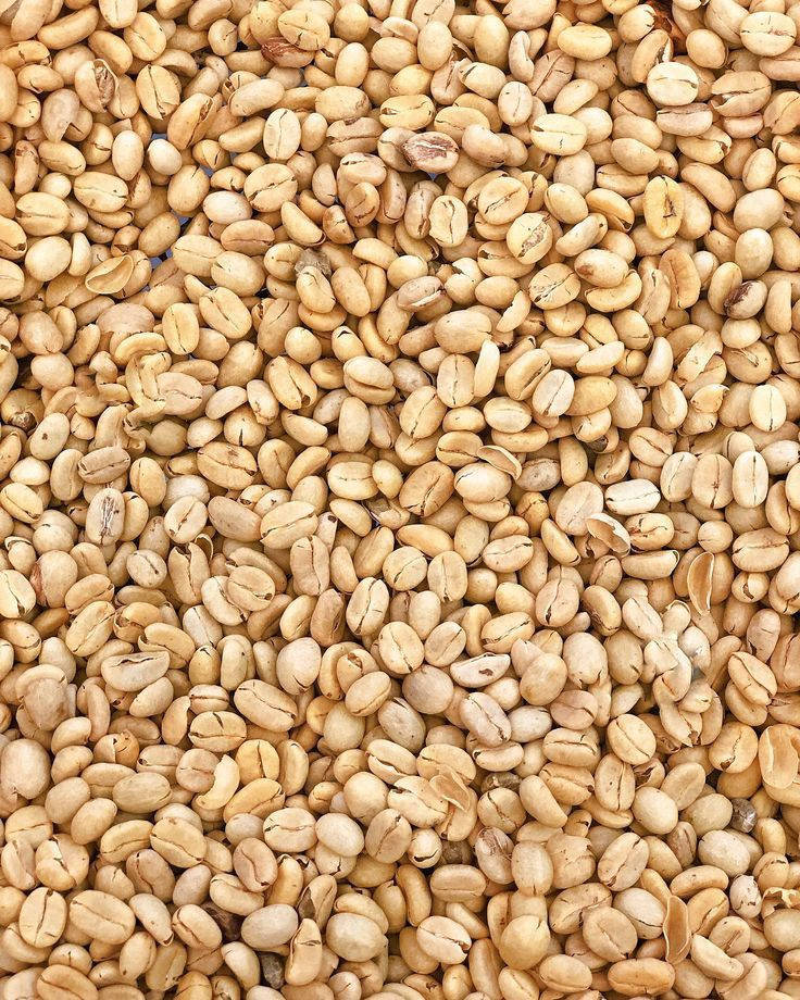 Buy Robusta Coffee Grade 1 from PT Linggau Jaya Eksportir, Indonesia ...