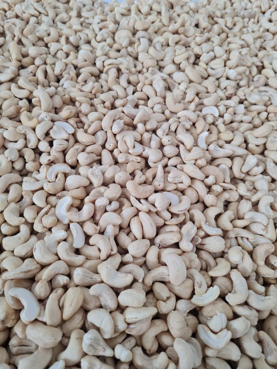 Buy Cashew Nuts from Asian Resources Metals Limited, United Kingdom ...