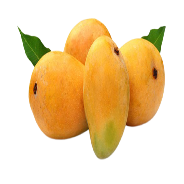 Buy Fresh Mangoes For Bulk Export from Afrivet Trading Services, South ...
