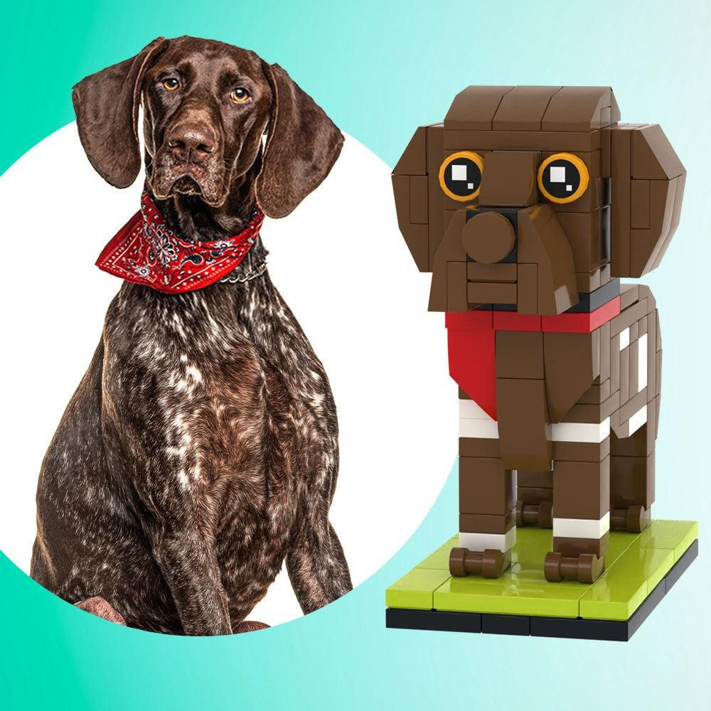 Buy Lego Compatibility Fully Body Customizable 1 Dog Photo Custom Brick ...