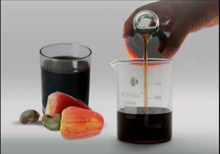 Buy Cnsl Cashew Nut Shell Liquid from Java Agriculture Investama ...