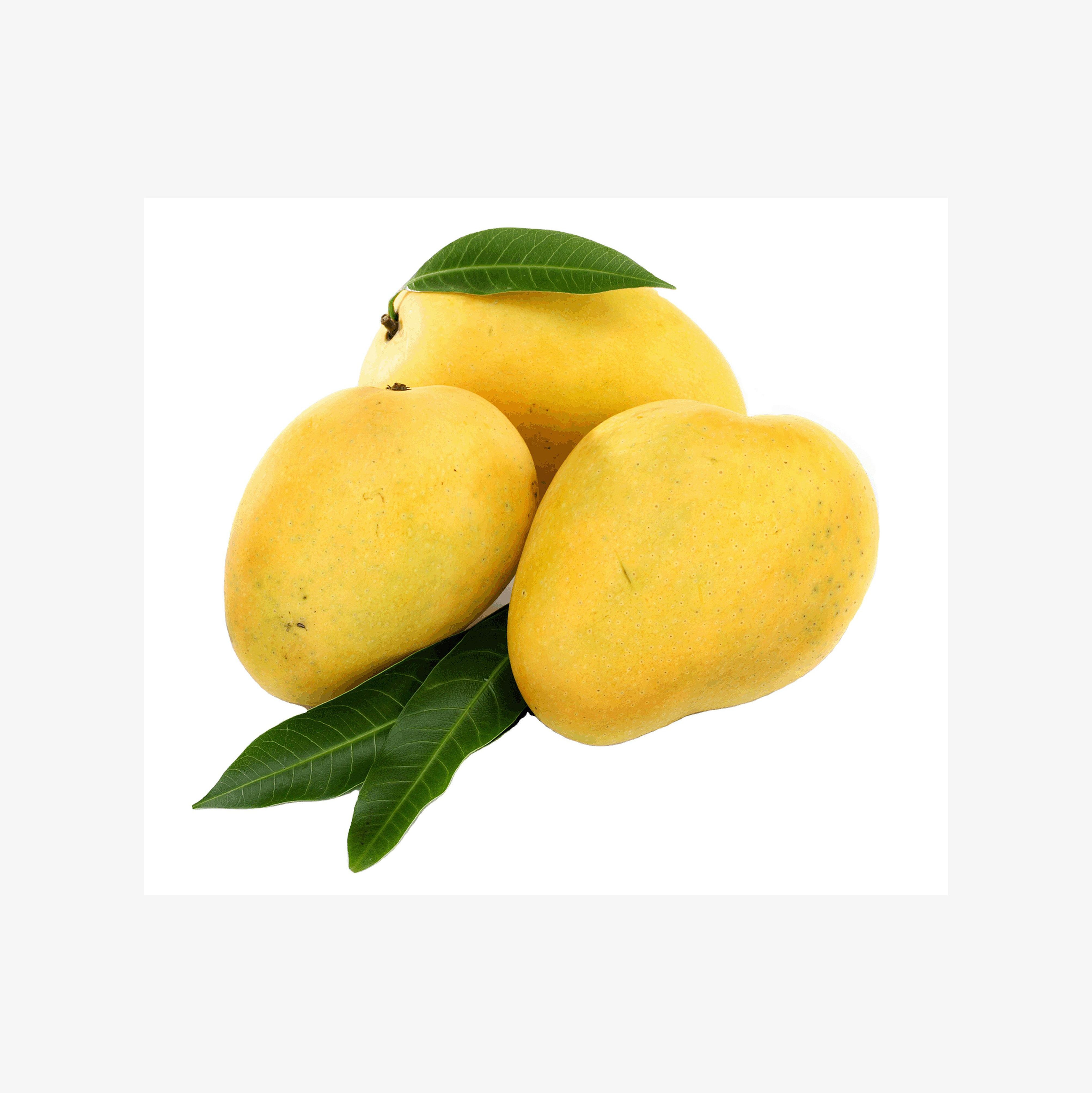 Buy Fresh Mangoes For Bulk Export from Afrivet Trading Services, South ...