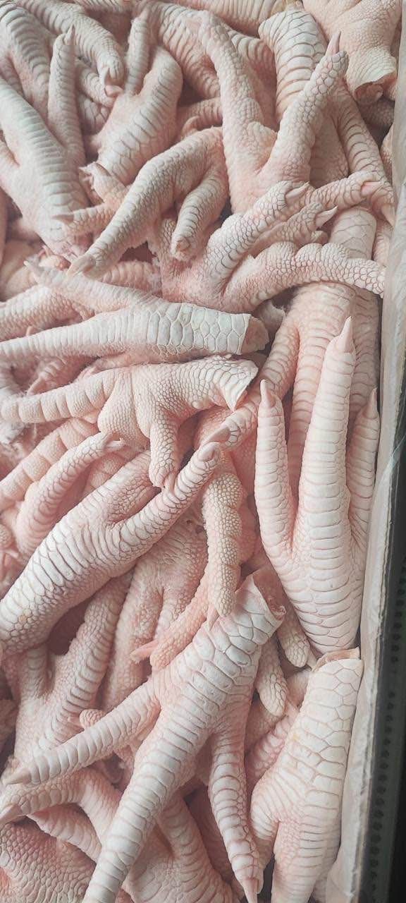 Buy Chicken Paws And Feet For Export from SILVA TRADE LLC, USA ...