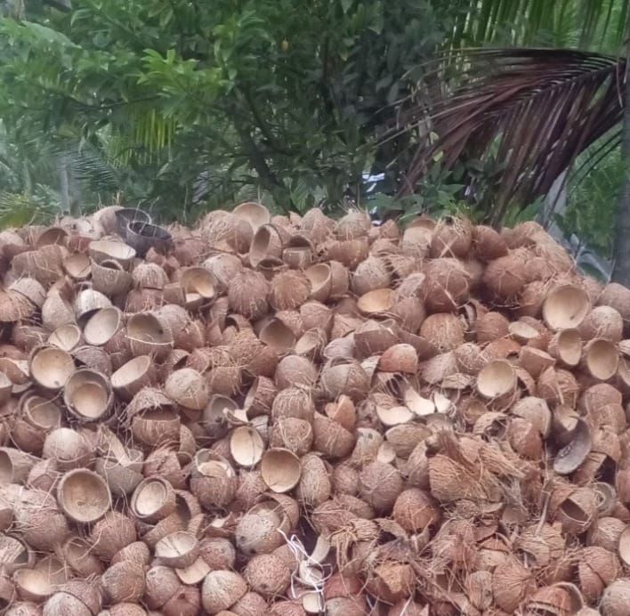 Buy Coconut Shell from Kodman Enterprises, United Arab Emirates ...