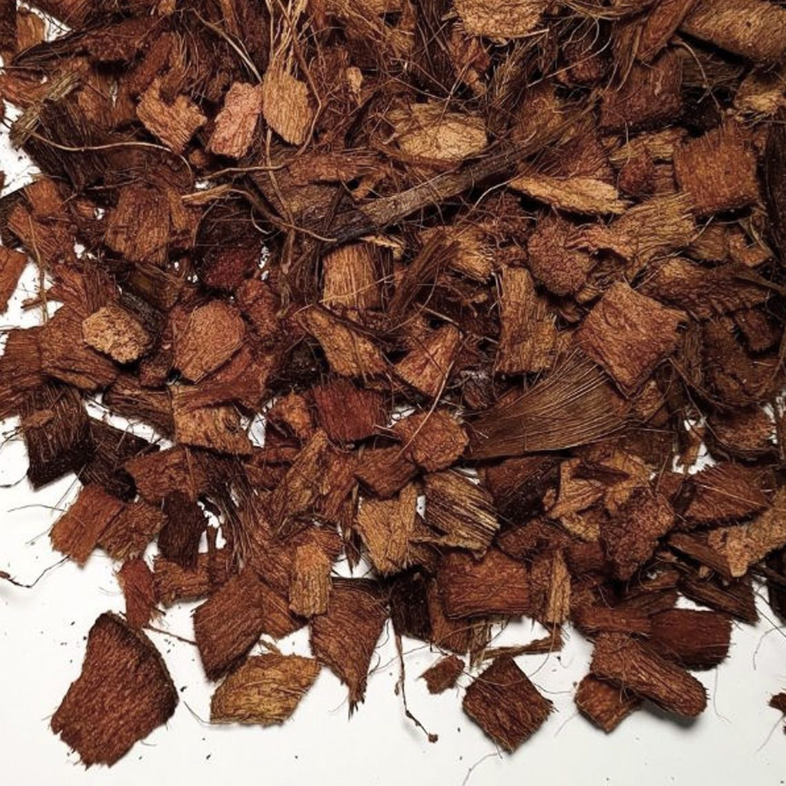 Buy Terrarium Substrate - Coconut - Chips & Moss from SUPER SMOKE ...