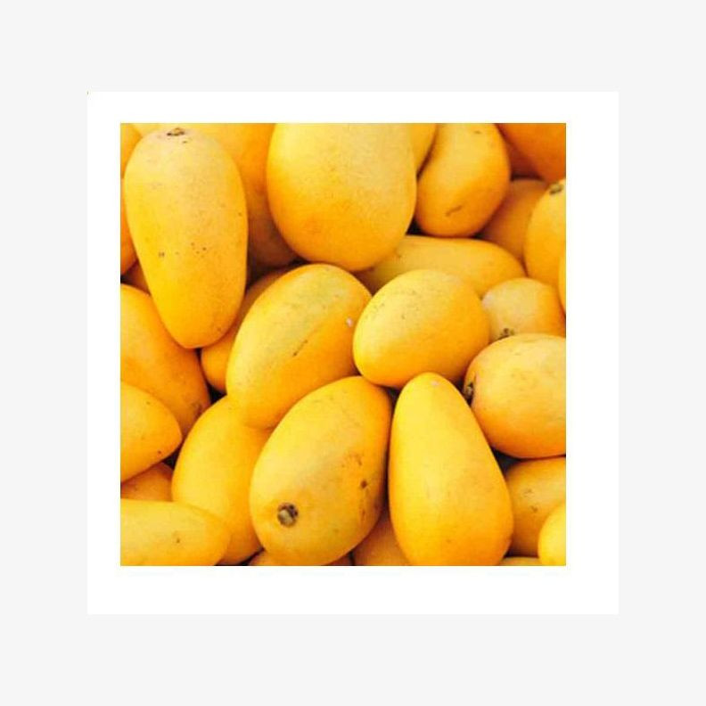 Buy Fresh Mangoes For Bulk Export from Afrivet Trading Services, South ...