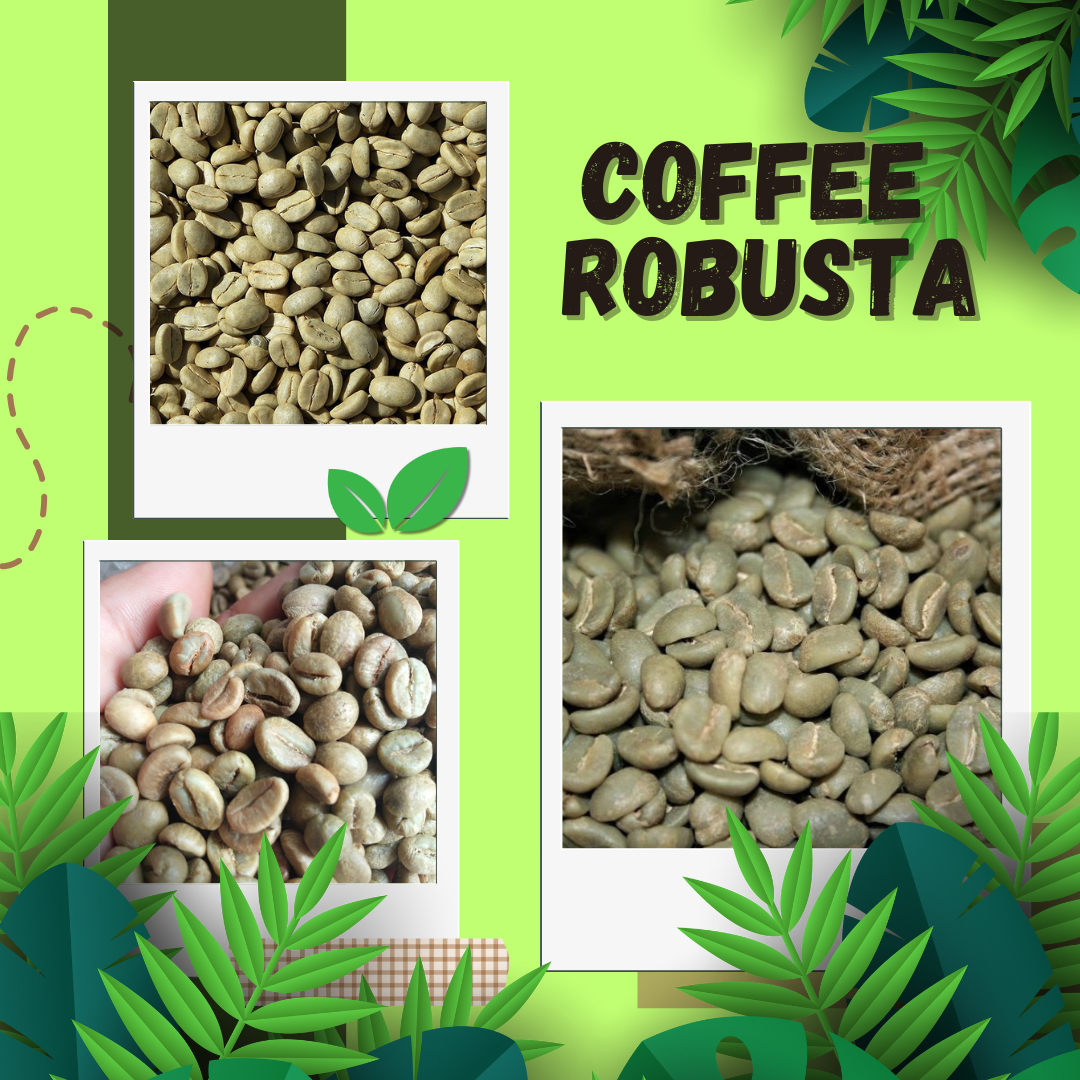 Buy Robusta Coffee Grade 1 from PT Linggau Jaya Eksportir, Indonesia ...
