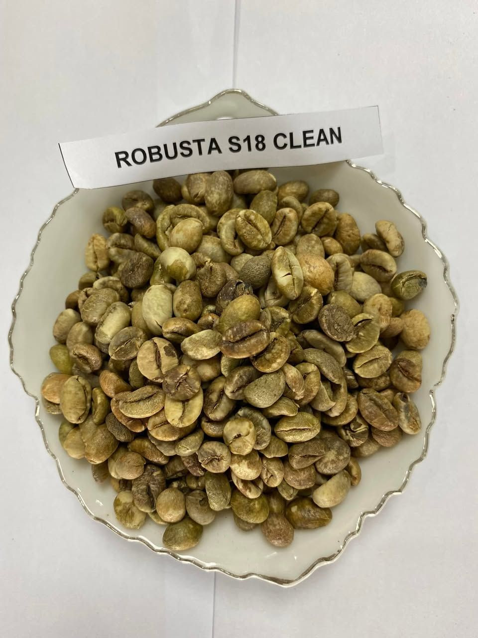 Buy Robusta Green Coffee Bean New Crop! from MARIOX TRADING, Malaysia ...