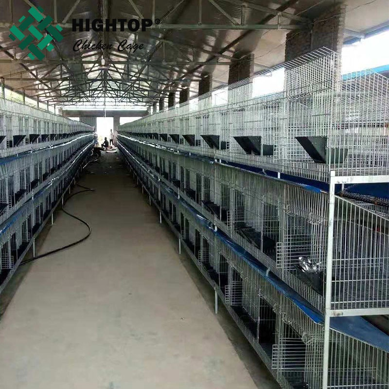 Buy Automatic Commercial Rabbit Farm Cage System In Kenya Farm from ...