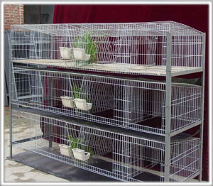 Buy Cheap Rabbit Farming Cage,industrial Cage For Rabbit,commercial ...