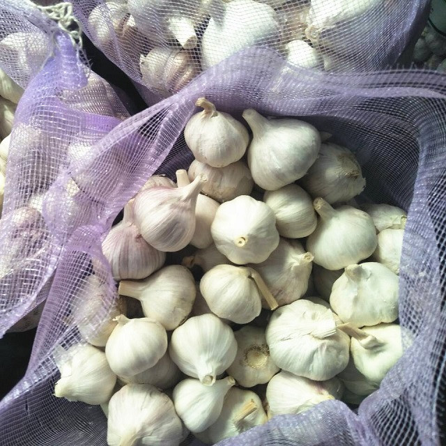 Buy Fresh Garlic 10kg from Bluebonnet Trading LLC, USA | Tradewheel.com
