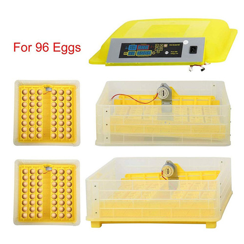 Buy Hhd 112 Oeufs Incubateur Egg Incubator Automatic Incubators ...