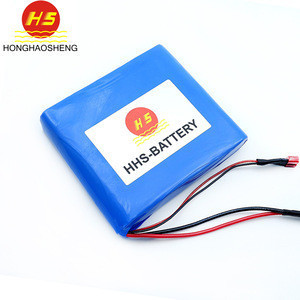 Buy Hhs Battery Lithium Battery Pack 60v 2.9ah Customized Batteries For ...