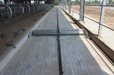 Buy High Quality Cattle Farm Manure Scraper/manure Removal System from ...