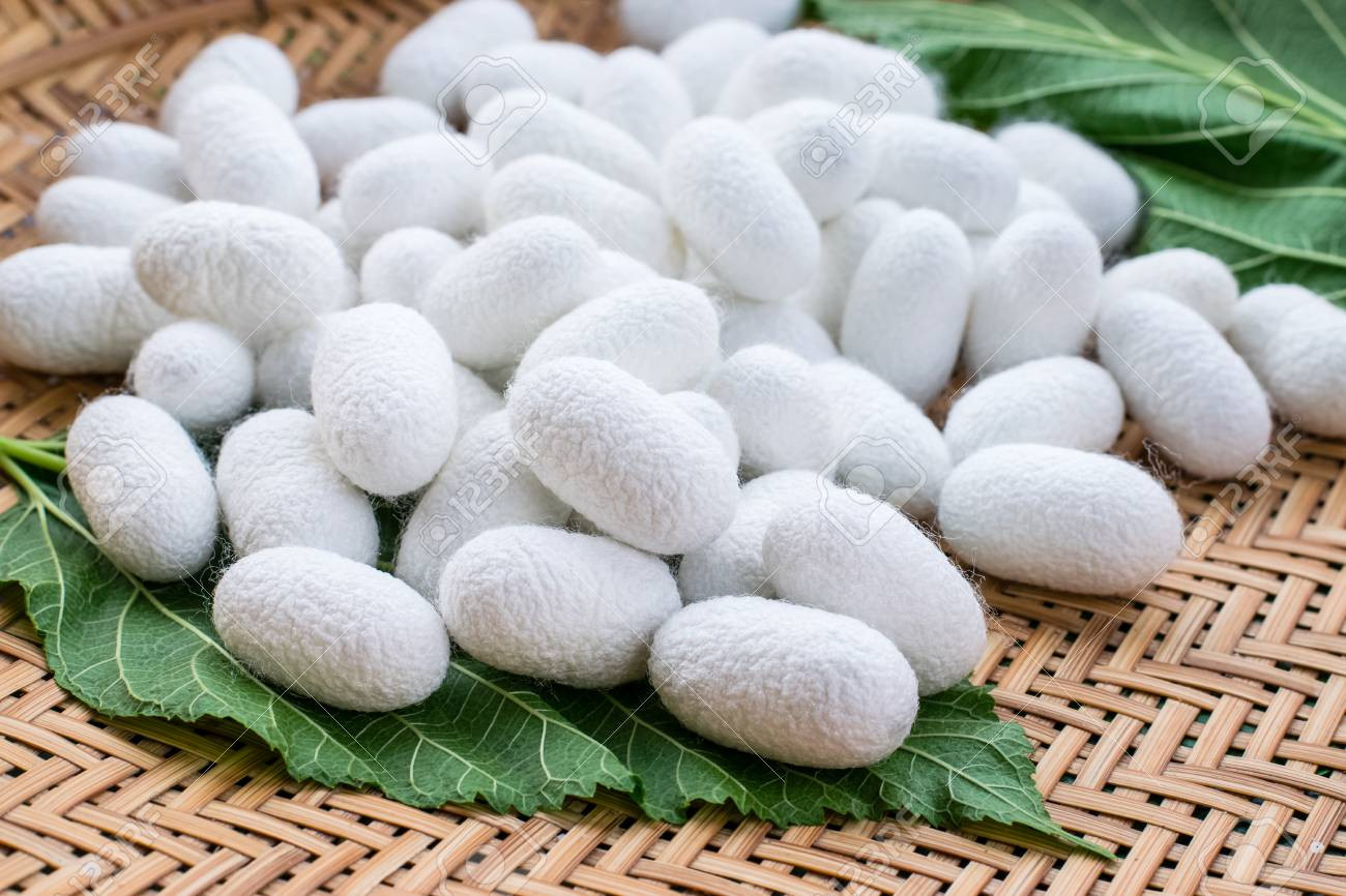 Buy Industrial Microwave Silkworm Cocoon Drying Sterilization Equipment ...