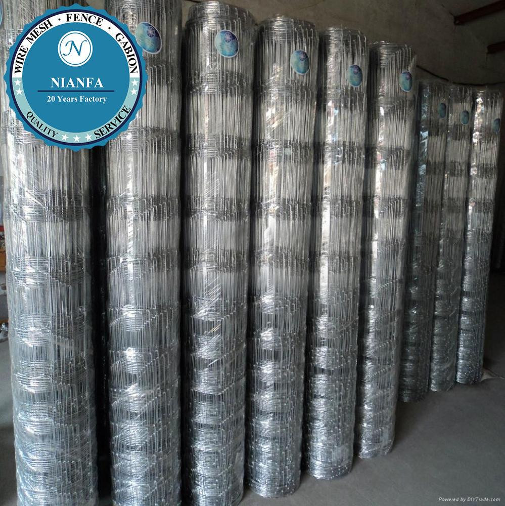 Buy Livestock Fencing 50m X 1m Pig Sheep Fence Agricultural Netting ...