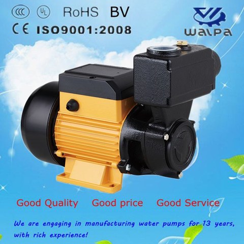 Buy Mini Pump Water Pump With High Head & Good Quality Tps70 0.75hp 100 ...
