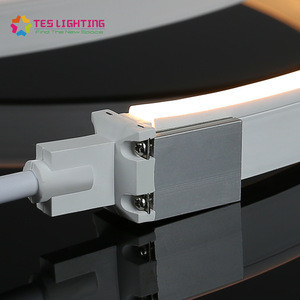 Buy Neo Neon Led Flexible Neon Strip Light 5050 Waterproof from ...